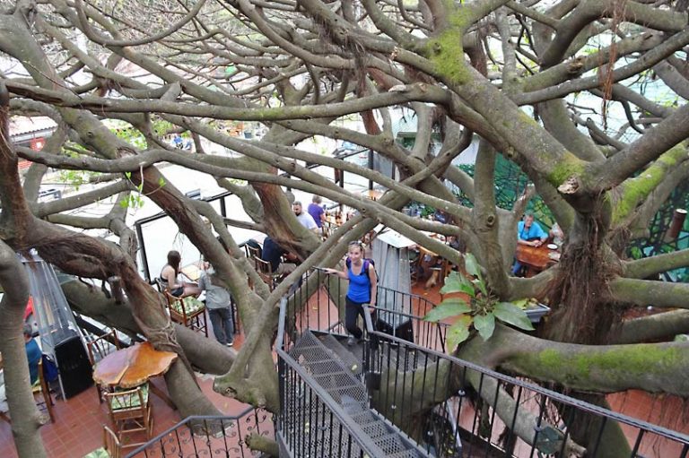 Quirky restaurants in Costa Rica
